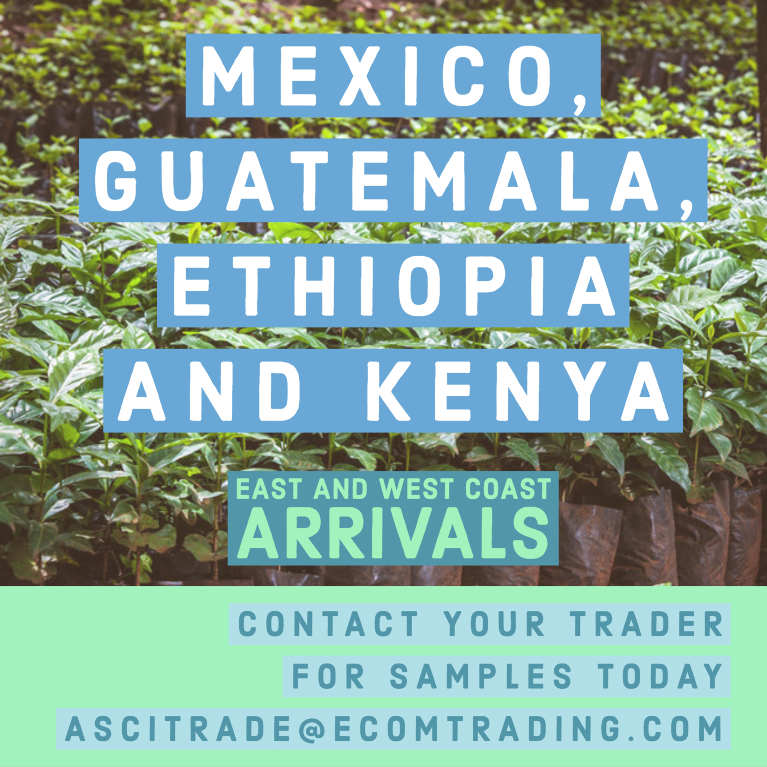 Atlantic Specialty Coffee, Inc. – Specialty Green Coffee Importers